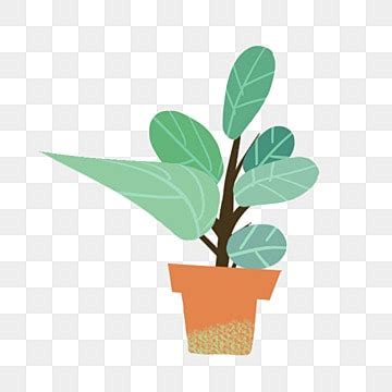 Plant Pots Hd Transparent Potted Plants Green Plants Plant Pot