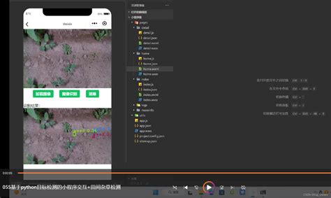 055基于python目标检测的小程序交互 田间杂草检测 python如何实现杂草 csdn博客