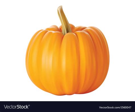 Pumpkin Royalty Free Vector Image Vectorstock