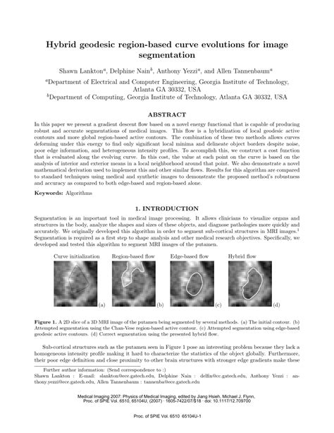 pdf hybrid geodesic region based curve evolutions for image segmentation