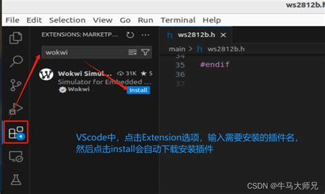 插件下载失败，手动安装vscode编辑器中的扩展插件程序经验教程 vscode手动安装扩展 csdn博客