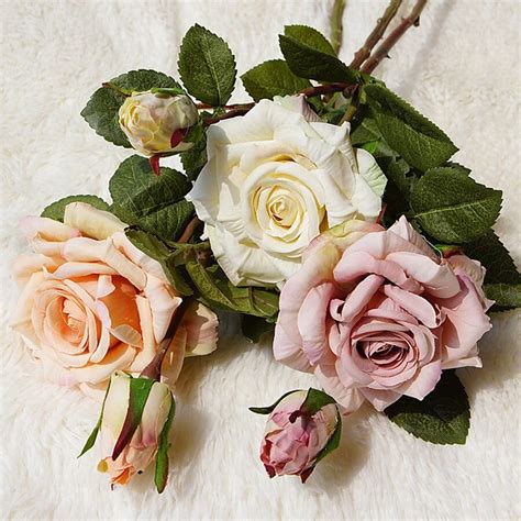 Descubra Kuva Belles Roses Blanches Thptnganamst Edu Vn