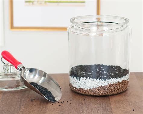 How To Make A Closed Terrarium Crate And Barrel Blog