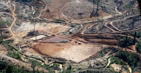Imej Satelit Dedah Kesan Penebangan Hutan Perlombongan Di Indonesia