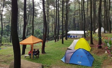 Rekomendasi Tempat Camping Di Bandung Teropong Media