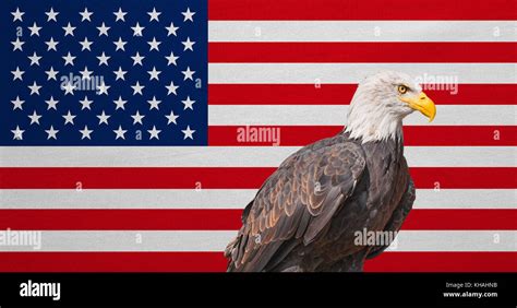 Top 87 Imagen Simbolo Del Aguila En La Bandera Abzlocal Mx