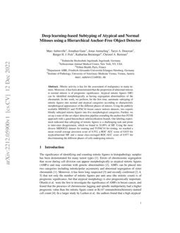 Deep Learning Based Subtyping Of Atypical And Normal Mitoses Using A
