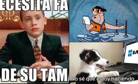 Memes Celebra el Día del Contador con algunas risas Shows Memes