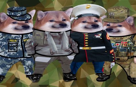 North Atlantic Fella Organization On Twitter Happy Veterans Day To