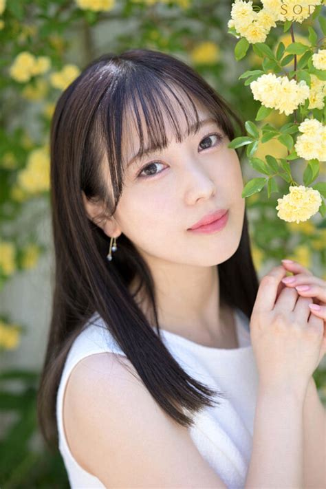 Sods Sodstar Yotsuha Kominato Artist And Av Actress First Best