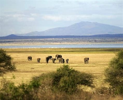 Flight To Lake Manyara National Park Fly To Lake Manyara Airstrip