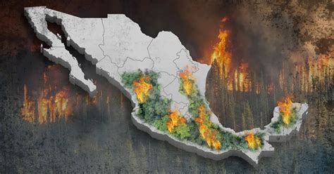 EN TIEMPO REAL Incendios Forestales Encienden La Alerta En Una