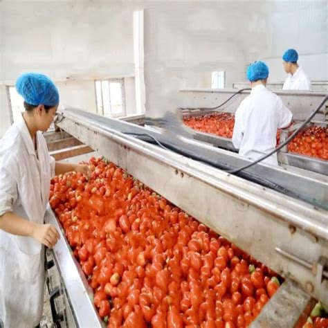 Complete Tomato Sauce Ketchup Production Line Tomato Paste Powder