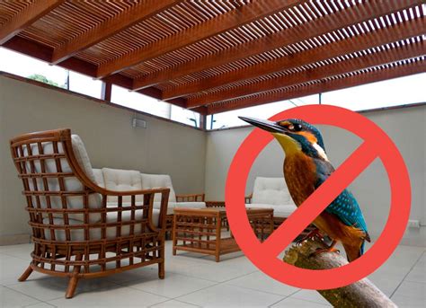 Preventing Bird Droppings On Patio Furniture With Natural Solutions