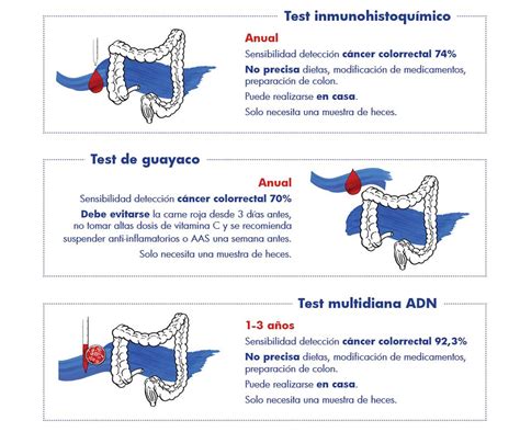 Importancia del examen de heces durante 3 días Detectando problemas