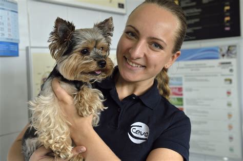 About Ceva Ceva Santé Animale