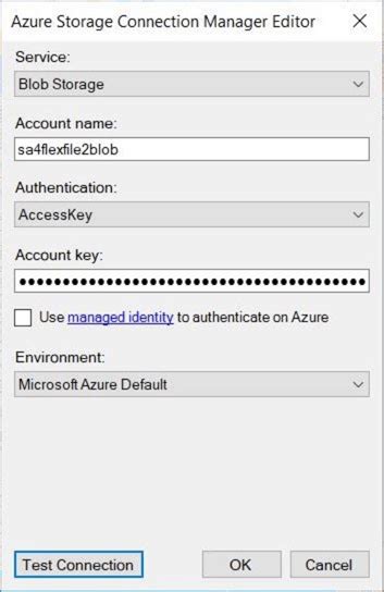 SSIS Flexible File System Task With Azure Blob Storage