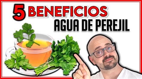 Beneficios Del Perejil Que Desconocias No Dejar S De Tomarlo