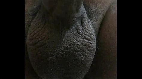 Trans Maceio Xvideos Videos Porno Grátis