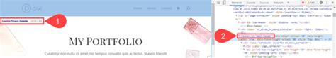 How To Hide Elements With CSS On Your Website