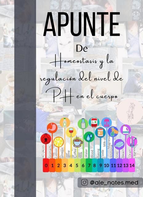 Homeóstasis y la regulación del nivel de PH en el cuerpo Alejandra