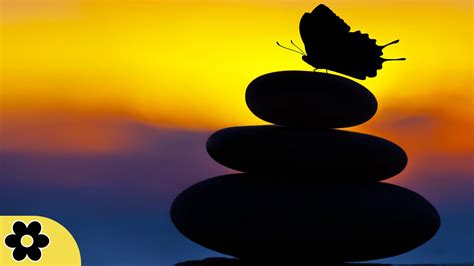 Soothing Calming Clip Art Library