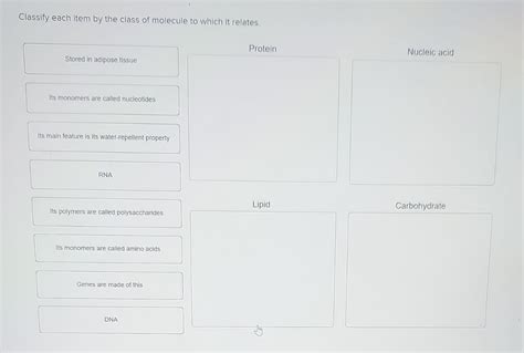 solved classify each item by the class of molecule to which