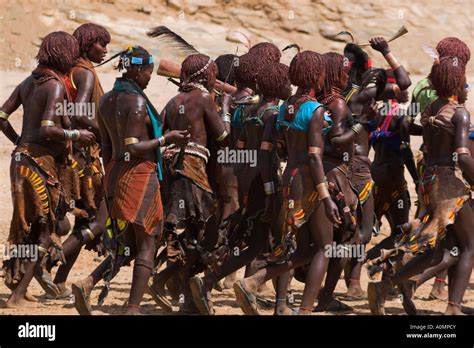 ETHIOPIA Lower Omo Valley Turmi HamerJumping Of The Bulls Initiation