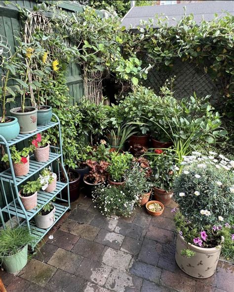 16 Small Vegetable Garden Ideas For Apartments Small Backyards PunkMed