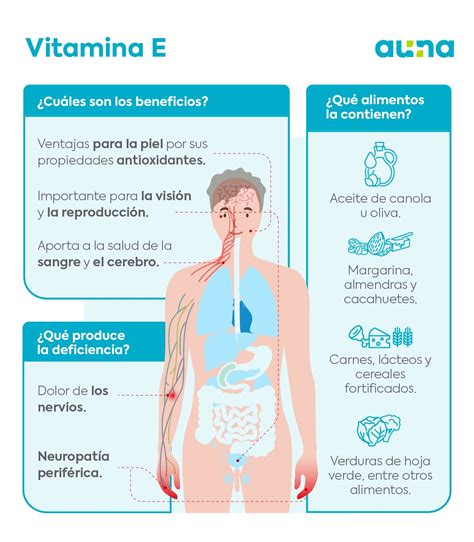 Beneficios de la vitamina E en la piel y cómo aplicar este antioxidante