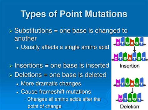 Ppt Types Of Mutations Powerpoint Presentation Free