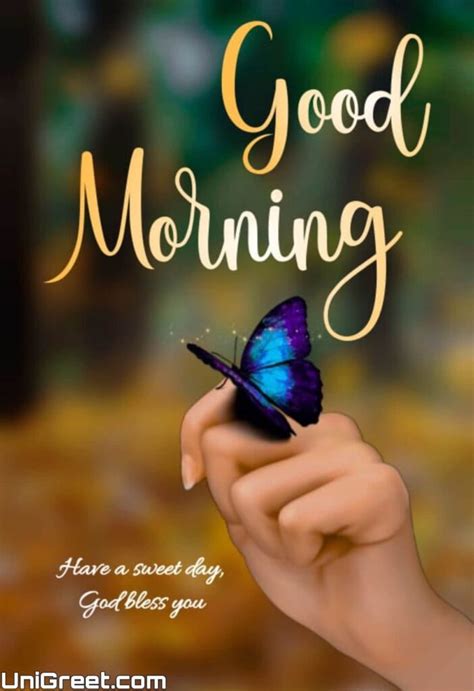 Details 300 Morning Background Images Abzlocal Mx