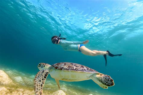14 Of The Best Places To Snorkel In The U S Viajando E Aproveitando