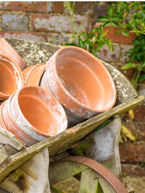 Five Unique Ways To Age Terracotta Pots WM Design House