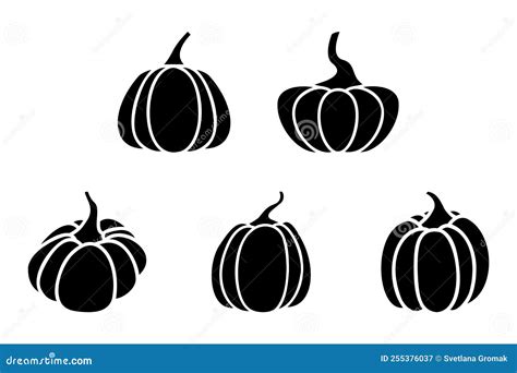 Calabaza Negra Conjunto De Siluetas De Diferentes Calabazas Siluetas