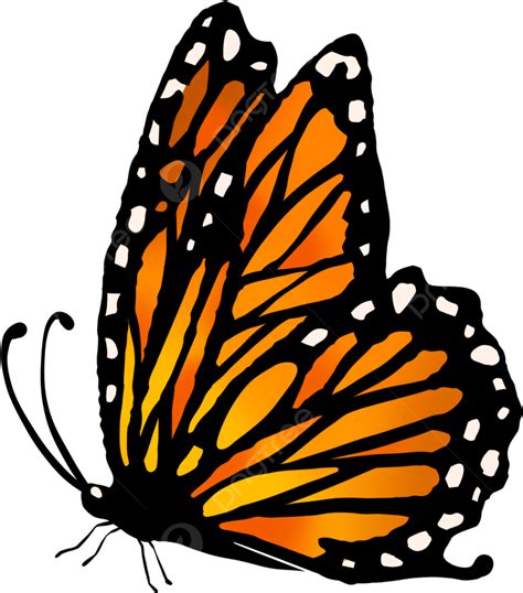 Mariposa Monarca De Estilo De Dibujos Animados Clipart Mariposa Naranja
