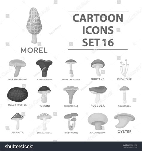 Mushroom Set Icons In Monochrome Style