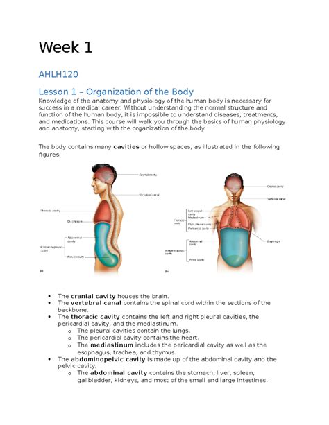 Lecture Notes On Week Anatomy And Physiology Week Ahlh Lesson