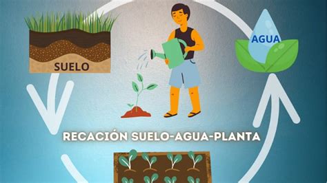 La estrecha y vital relación suelo agua planta