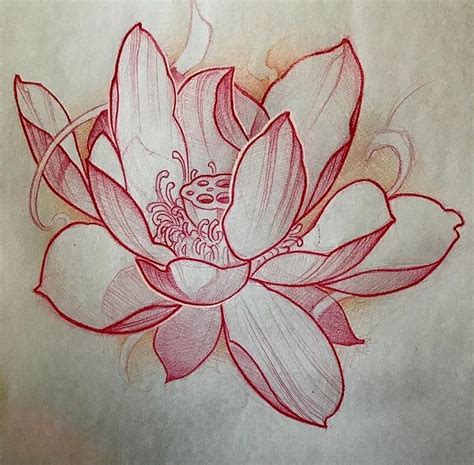 หาสส Arte da flor de lótus Arte da tatuagem japonesa