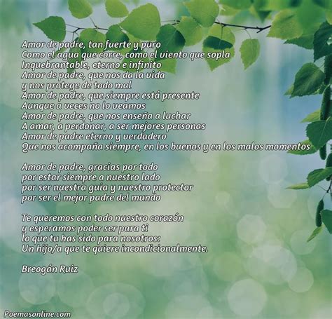 5 Poemas De Amor A Un Padre Poemas Online