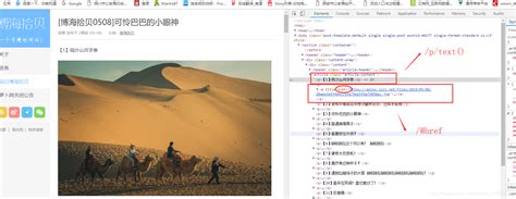 python的爬虫【1】抓取链接 标题 如何用etree 抓链接 csdn博客