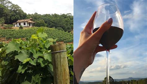 Roteiro Do Vinho Em S O Roque Como O Passeio Que Inclui Mais De