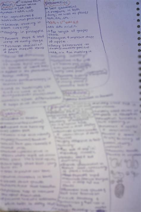 Solution Plant Hormones And Their Functions Studypool