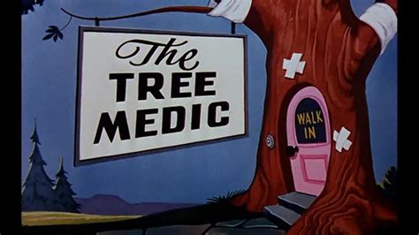 Pica Pau 068 Médico de árvores 1955 YouTube