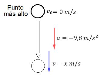 Tiro vertical y caída libre Ejercicios resueltos paso a paso