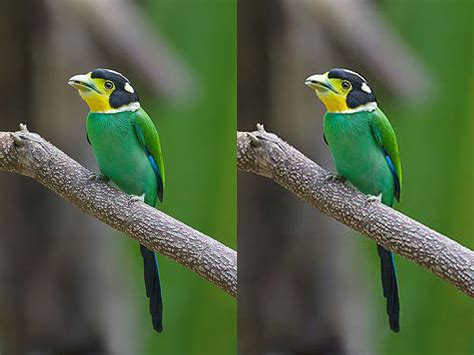 difference between lossy and lossless compression pediaa