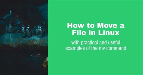 How To Move A File In Linux Linux Stans