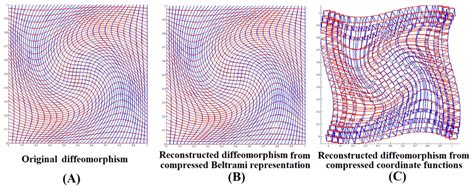 2 compression of bijective map a shows the original bijective map download scientific