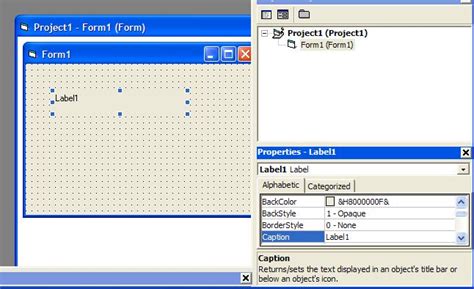Learn Visual Basic 6 Handy VB6 Select Control Property Quickly